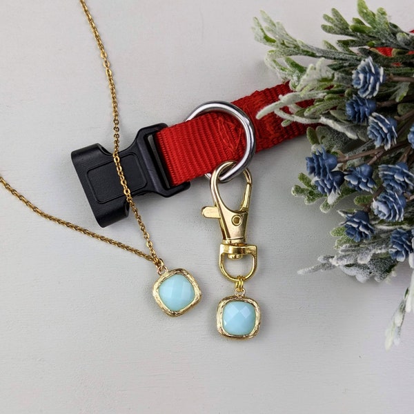 Matching Dog and Owner - Etsy