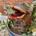 Audrey 2 II little Shop of Horrors - Etsy