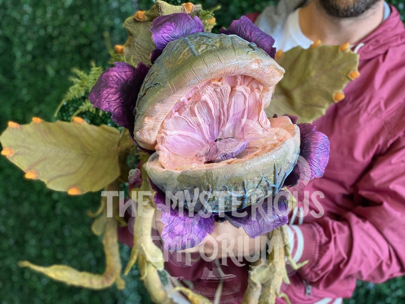 Audrey 2 Replica Display - Etsy