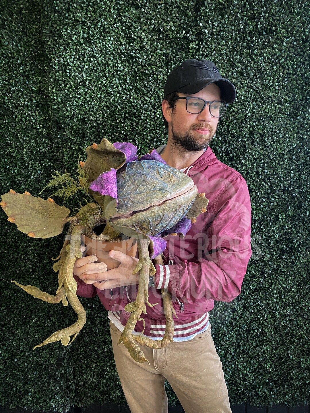 Audrey 2 Replica Display - Etsy