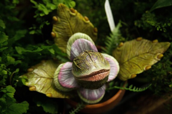 Baby Audrey Ii