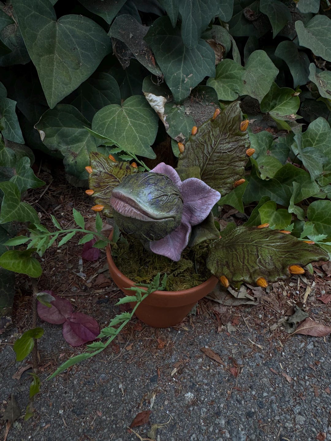 Baby Audrey 2 - Etsy