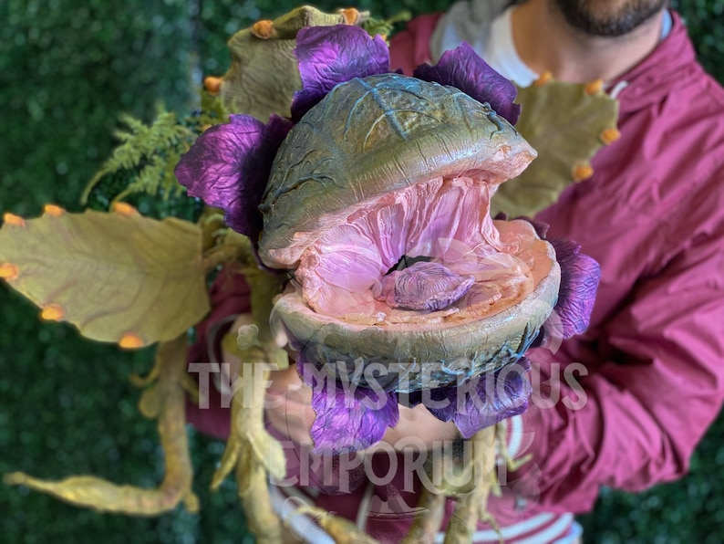 Audrey 2 Replica Display - Etsy