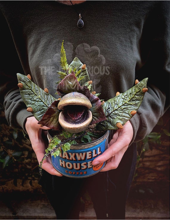 Audrey 2 II little Shop of Horrors - Etsy