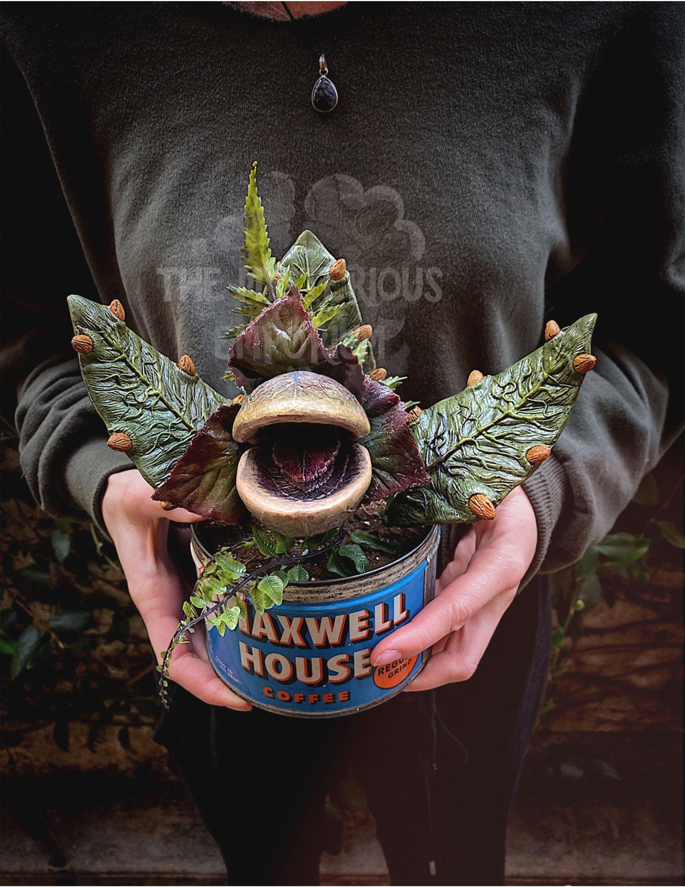 Baby Audrey Ii