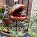 Audrey 2 II little Shop of Horrors - Etsy