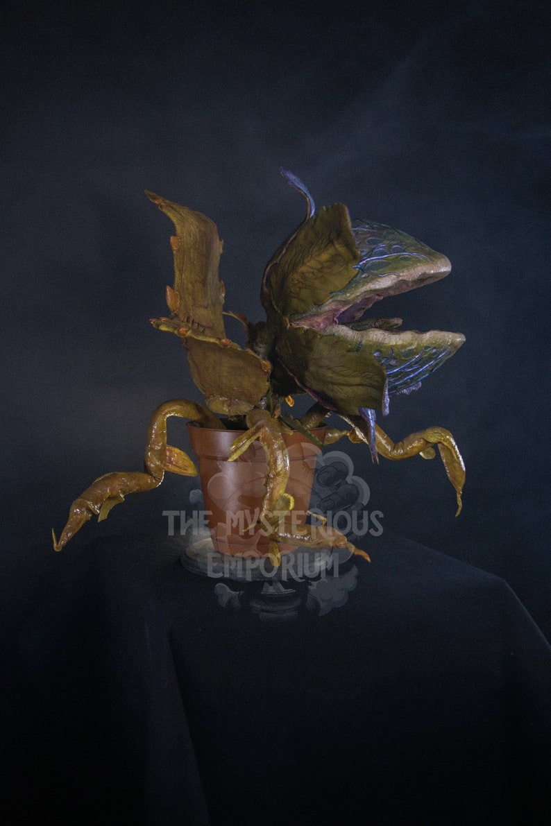 Audrey 2 Replica Display - Etsy