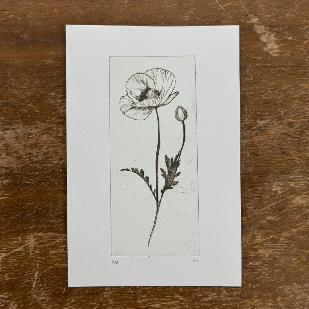 The Poppy | August | Birth Month | Birth Flower | Drypoint Print ...