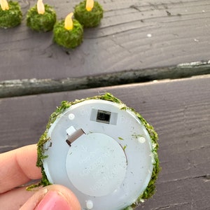 Moss Tealights, Set of 4. Battery Operated With On-off Switch. Moss ...