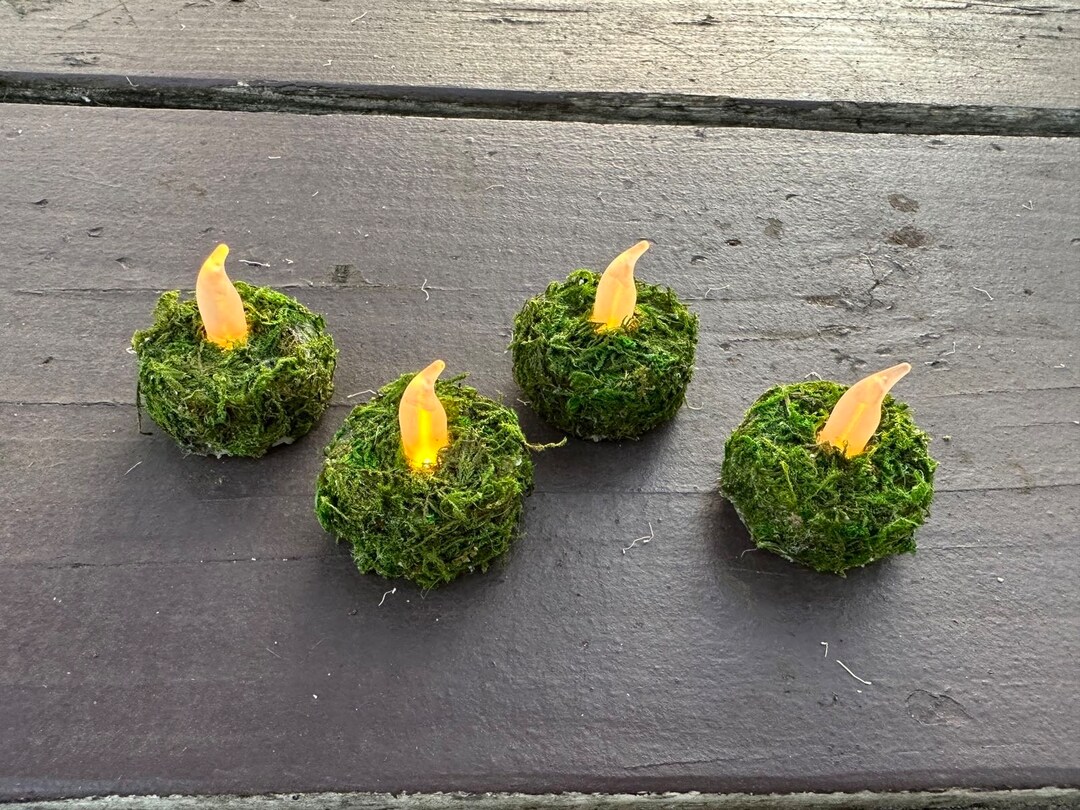 Moss Tealights, Set of 4. Battery Operated With On-off Switch. Moss ...