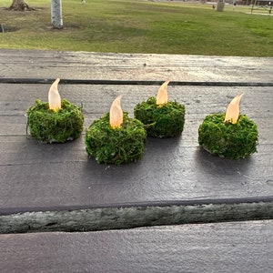 Moss Tealights, Set of 4. Battery Operated With On-off Switch. Moss ...