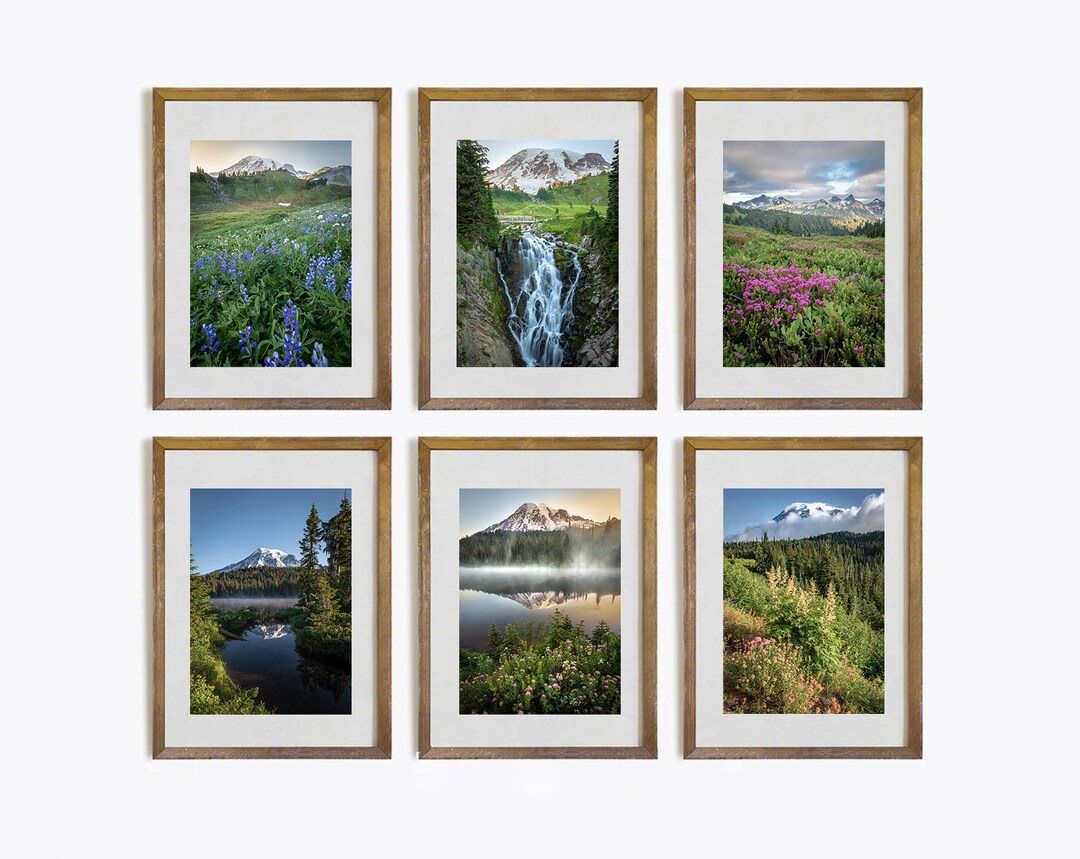 Mount Rainier Photo Print, National Park Flower Photography, National ...
