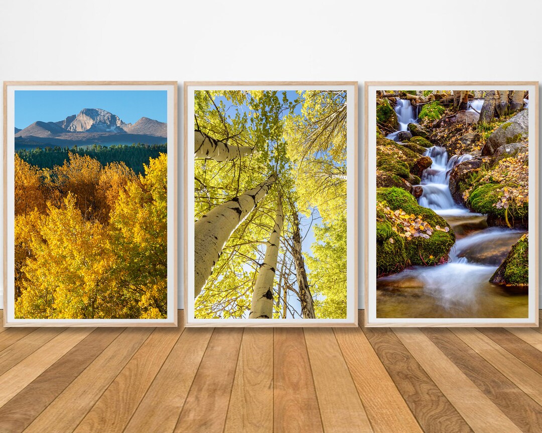 Rocky Mountain National Park, Colorado, Aspen Tree, Poster Art, Poster ...