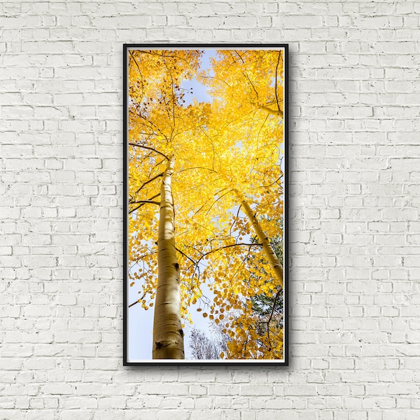 Aspen Tree Art - Etsy