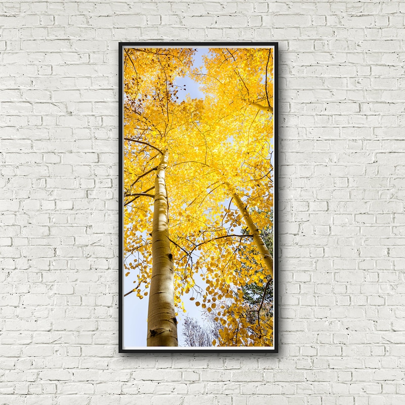 Aspen Tree Art - Etsy