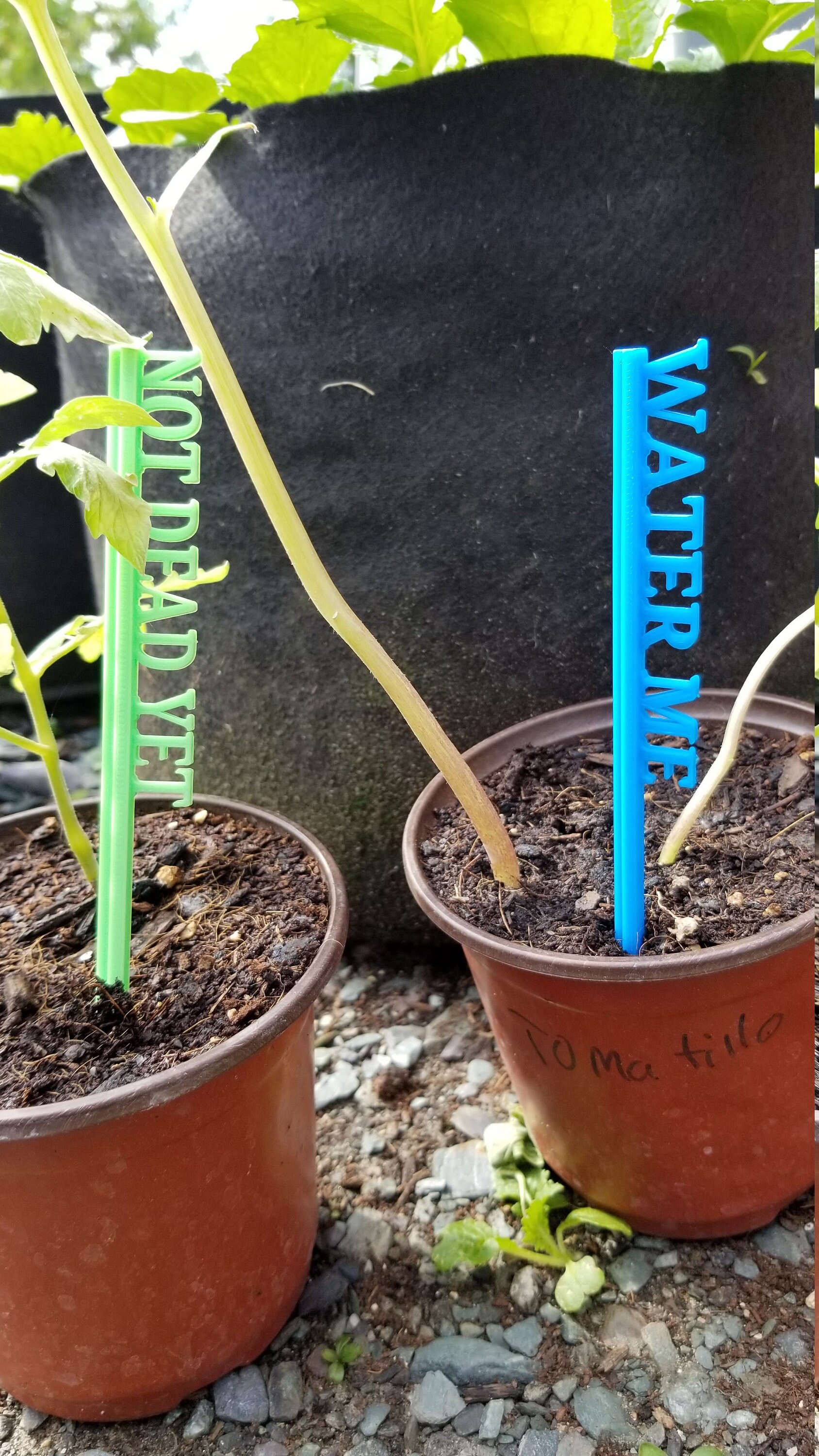 Funny Plant Labels Witty Plant Markers Sarcastic Garden | Etsy UK