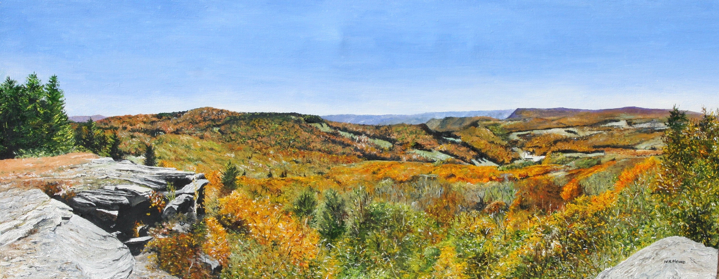 Bald Knob Overlook, Canaan Valley State Park, WV - Etsy