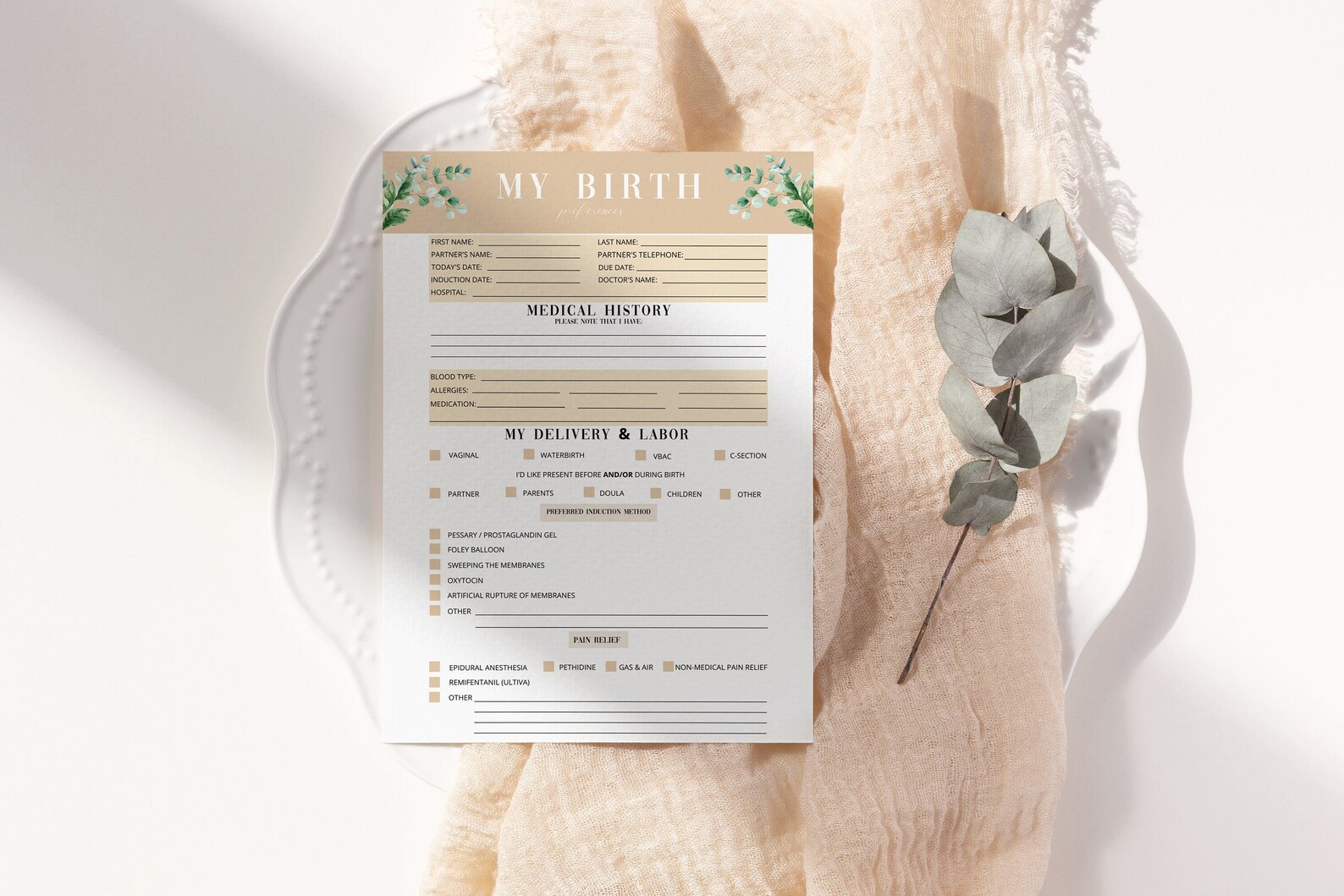 Birth Plan Template, Birth Preferences Printable Template, Modern Birth ...
