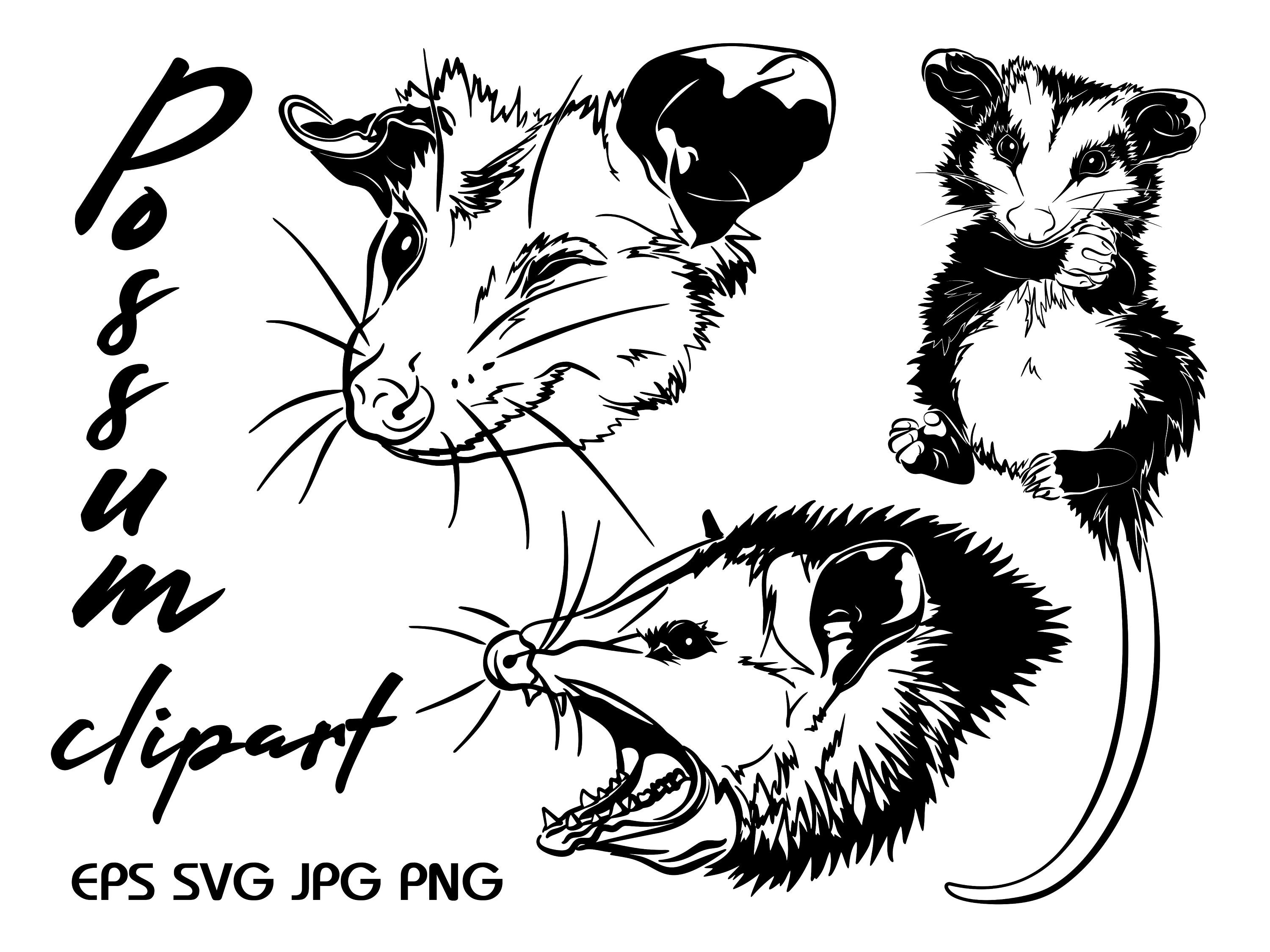 Possum Svg, Png, Eps, Jpg, Opossum, Vector Animal, Card, Laser Cut, to ...