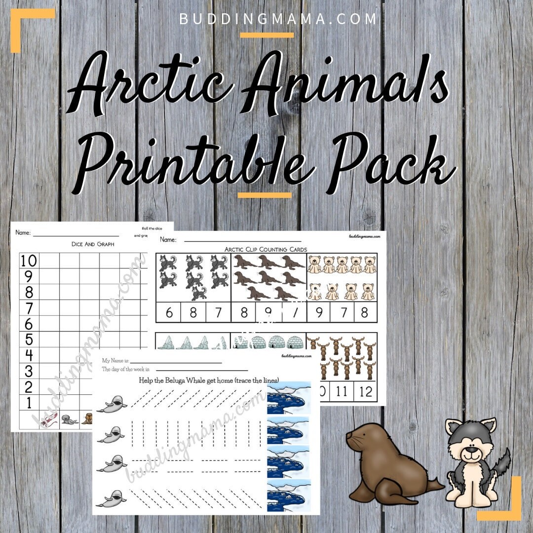 Arctic Animals Printable Curriculum Pack - Etsy