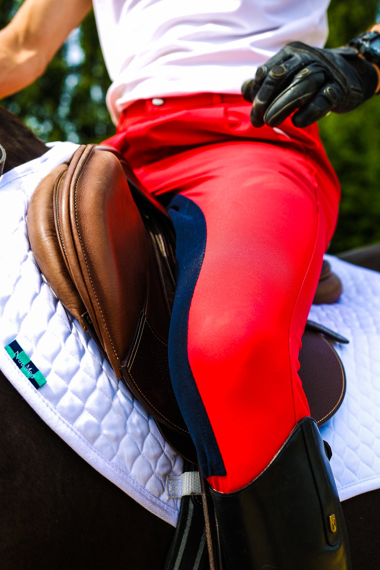 Equestriman Men's Coloured Riding Breeches. Unique Colours and High End ...