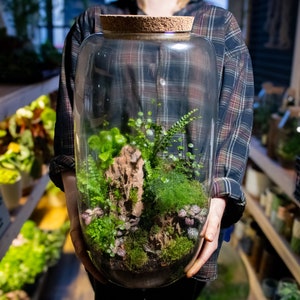 XL DIY Terrarium Kit - Tall | Ecosphere Jarrarium Kit | Make Your Own ...