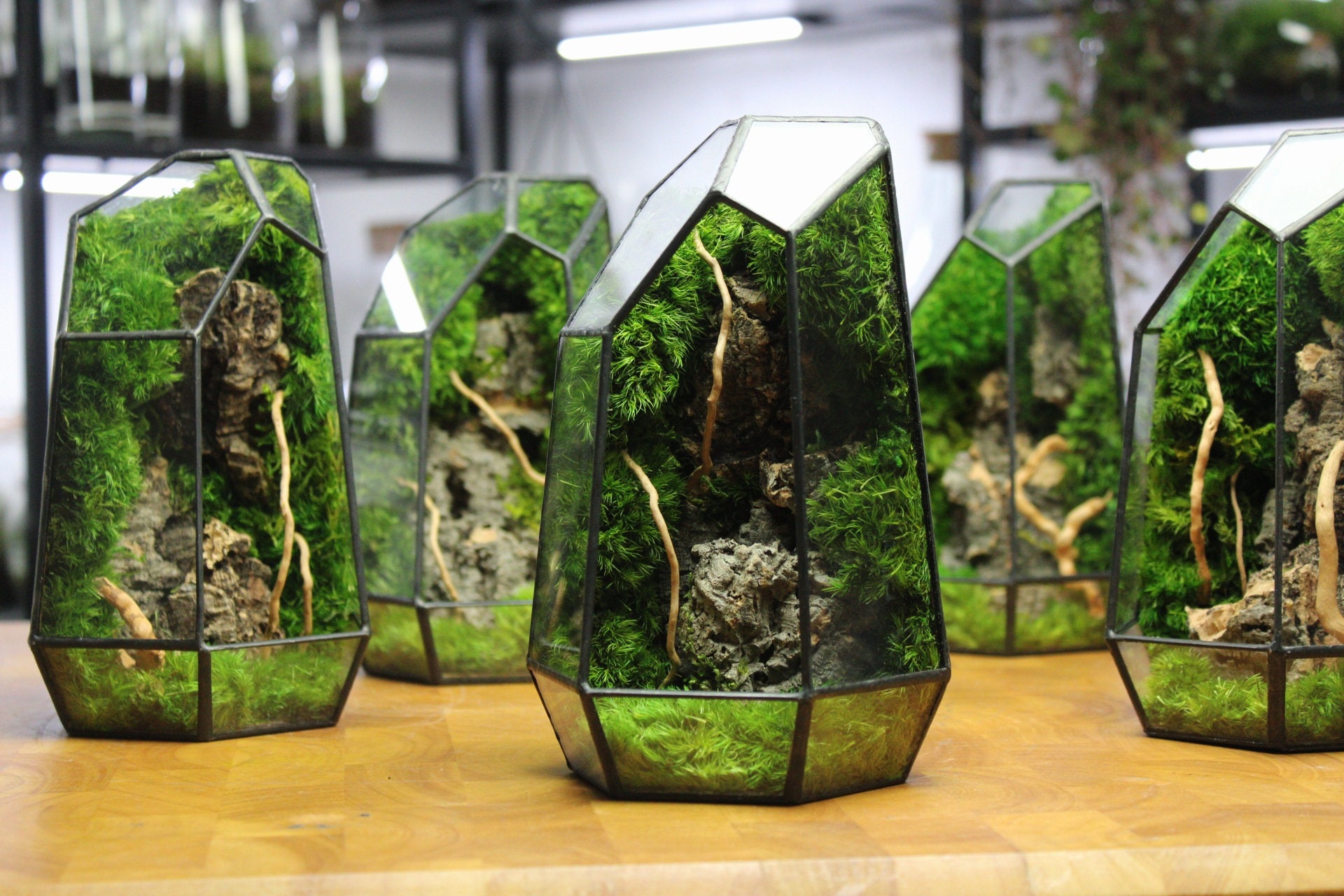 Geometric Terrarium Prism Desktop Mossarium Centrepiece - Etsy