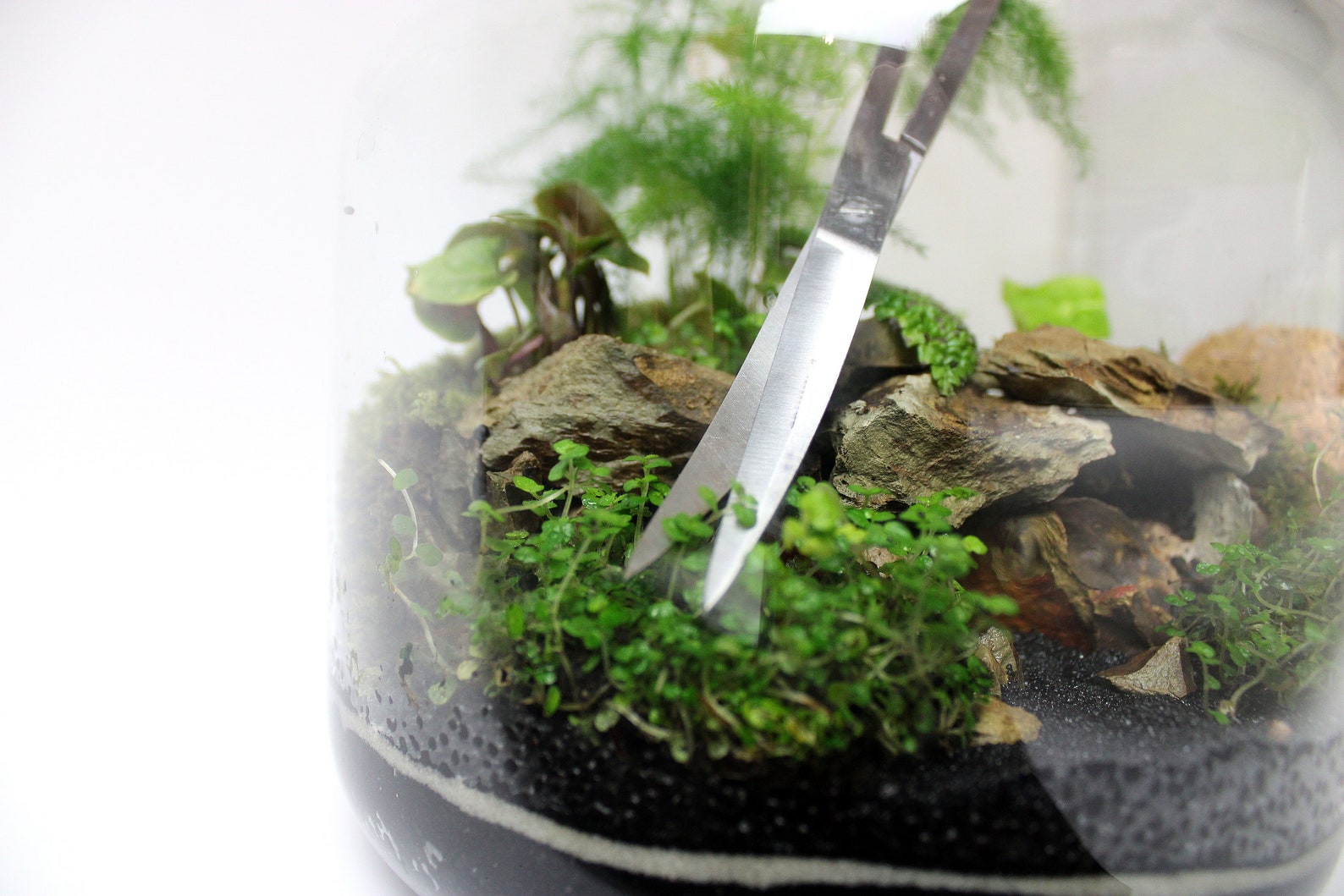 Terrarium Tool Kit 26cm Stainless Steel Terrarium Tools for | Etsy UK