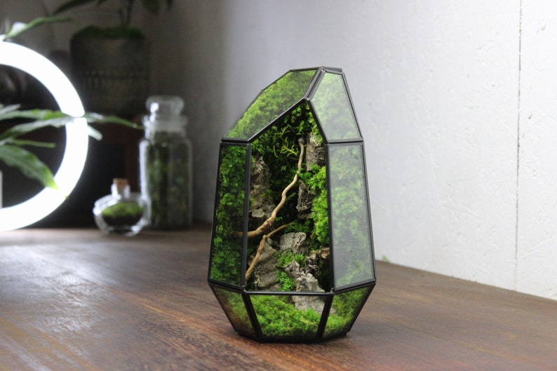 Geometric Terrarium Prism Desktop Mossarium Centrepiece - Etsy