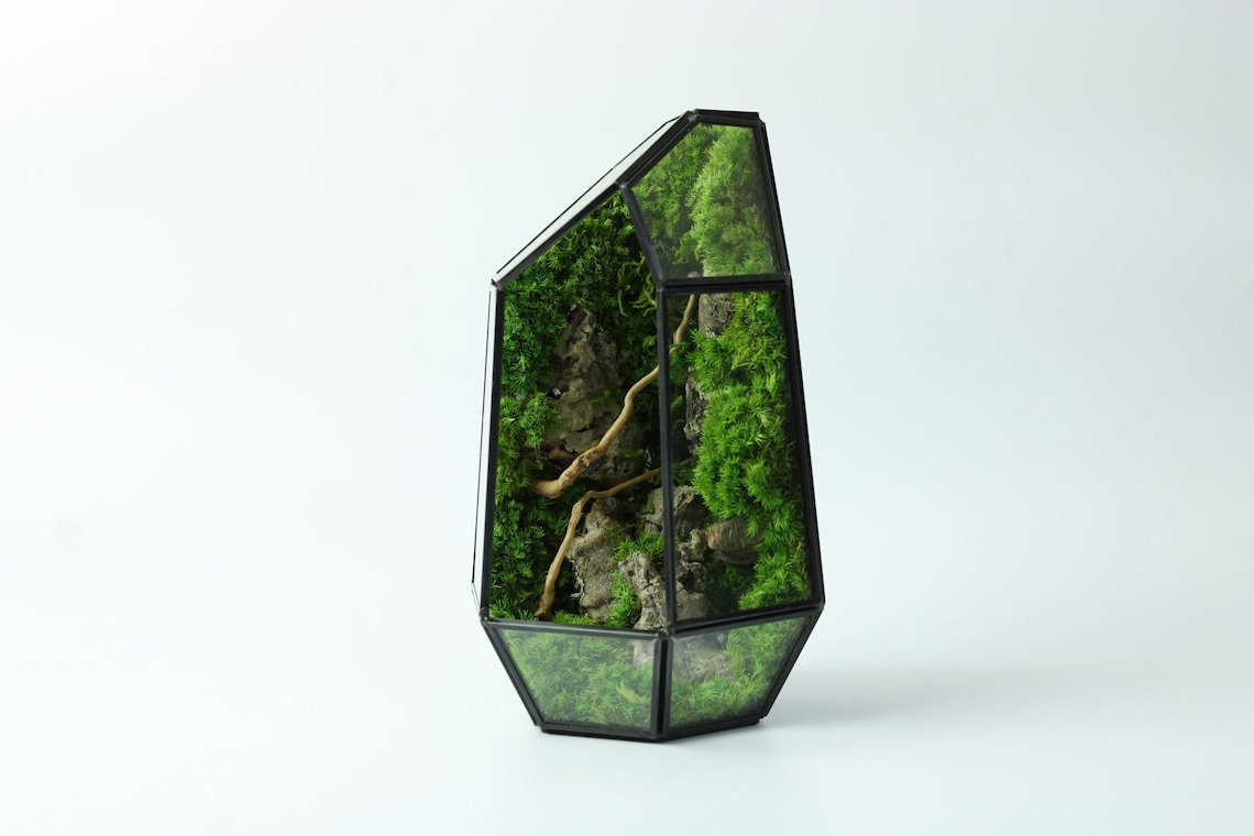 Geometric Terrarium Prism Desktop Mossarium Centrepiece - Etsy
