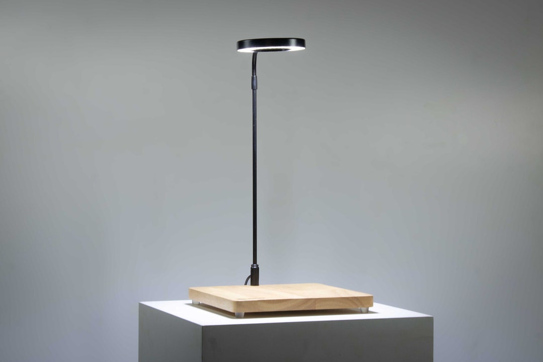 Terrarium Display Stand With LED – Adjustable Wooden Prism Board for ...