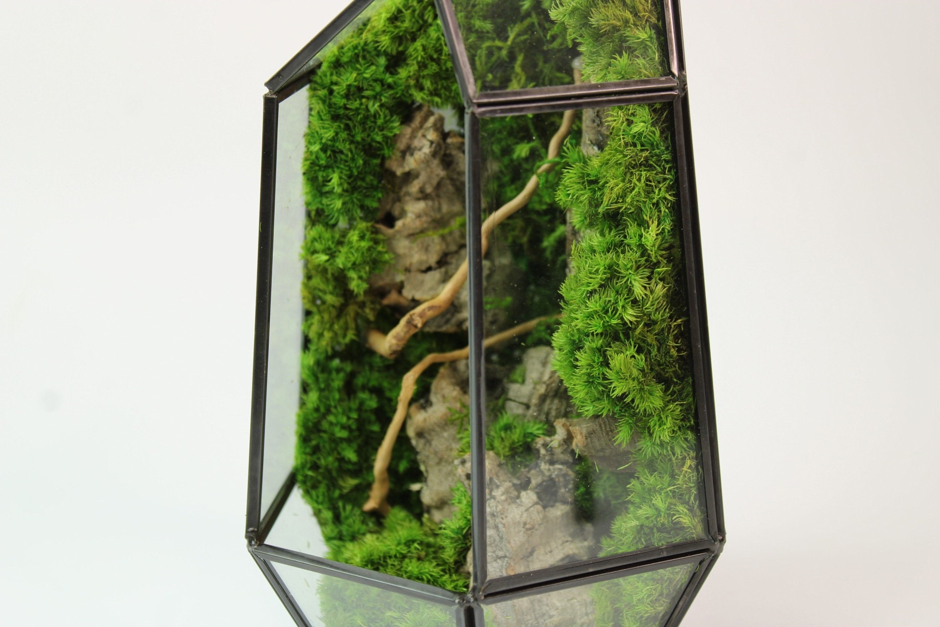 Geometric Terrarium Prism Desktop Mossarium Centrepiece - Etsy