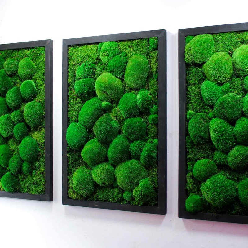 Moss Frame - Etsy