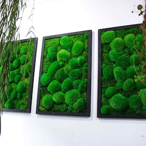 Moss Wall Art Large Wooden Frame Real Preserved Cushion Mosses Wall ...