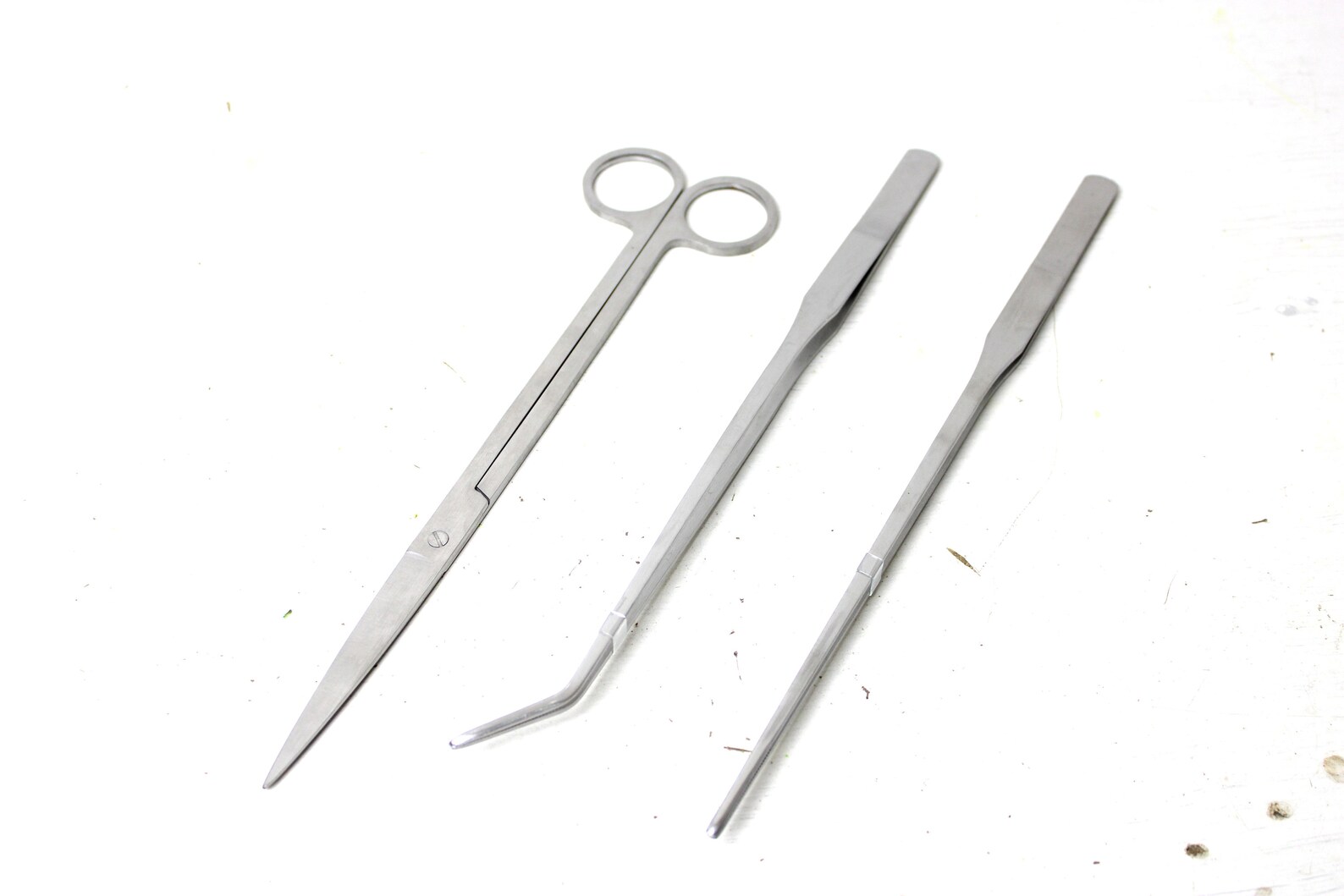 Terrarium Tool Kit 26cm Stainless Steel Terrarium Tools for | Etsy UK