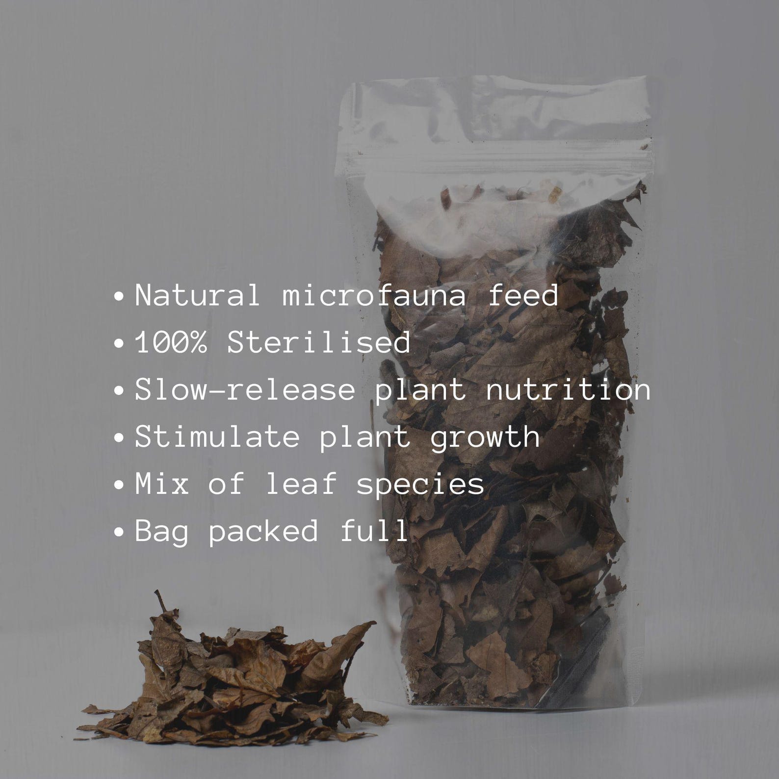 Sterilised Leaf Litter – Microfauna Food for Terrariums and Vivariums ...