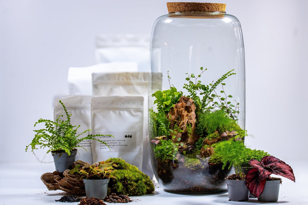 XL DIY Terrarium Kit - Tall | Ecosphere Jarrarium Kit | Make Your Own ...