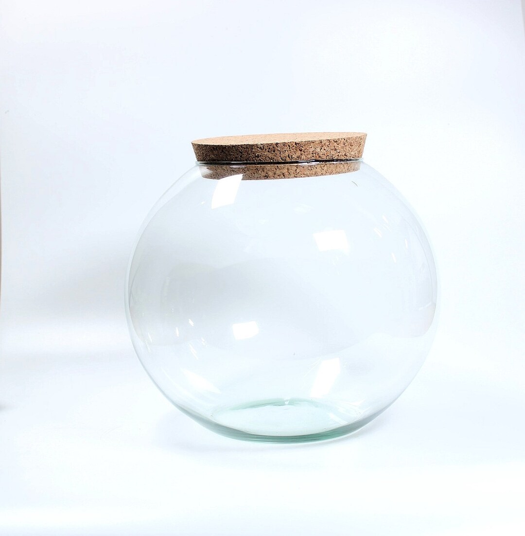 Glass Terrarium Jar 25cm With Lid – Large Globe Container for Closed ...