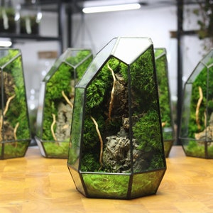 Geometric Terrarium Prism Desktop Mossarium Centrepiece - Etsy