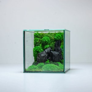 Cube Terrarium Preserved Zero-maintenance Mossarium Centrepiece Moss ...