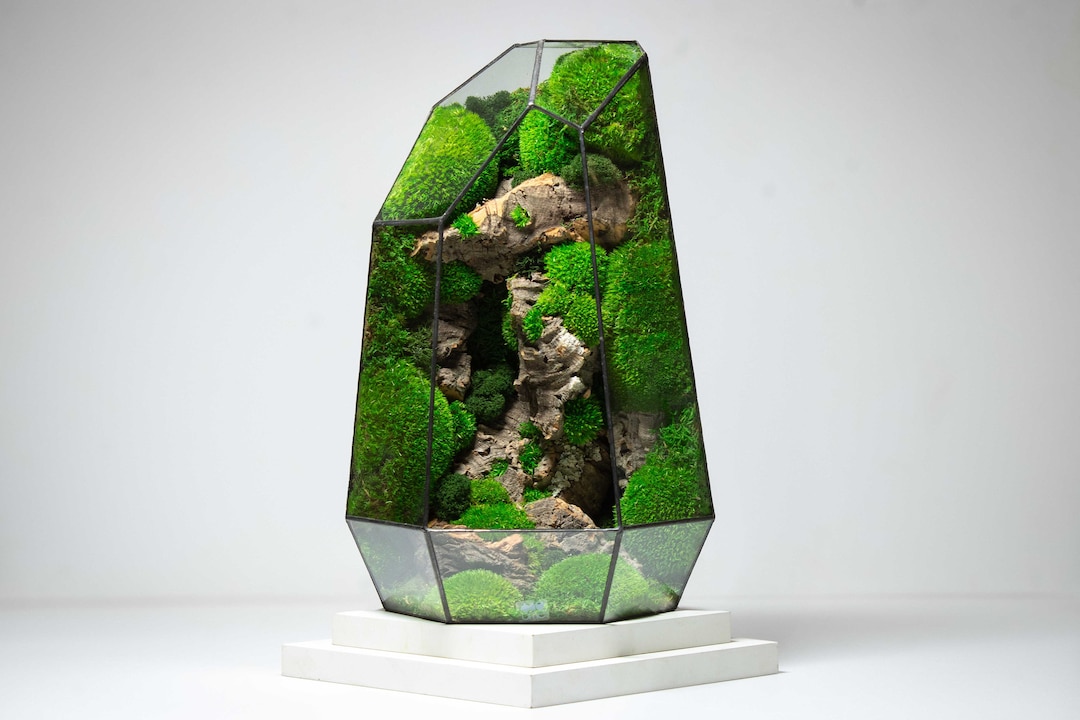 Geometric Terrarium | Prism | Desktop Mossarium Centrepiece | Preserved ...
