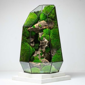 Geometric Terrarium | Prism | Desktop Mossarium Centrepiece | Preserved ...