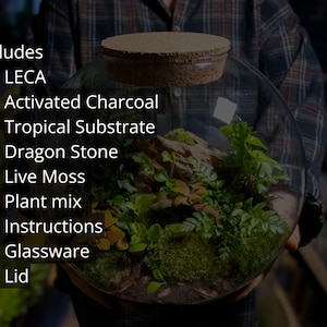 XL DIY Terrarium Kit - Tall | Ecosphere Jarrarium Kit | Make Your Own ...