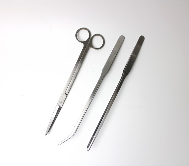 Terrarium Tool Kit 26cm Stainless Steel Terrarium Tools for | Etsy