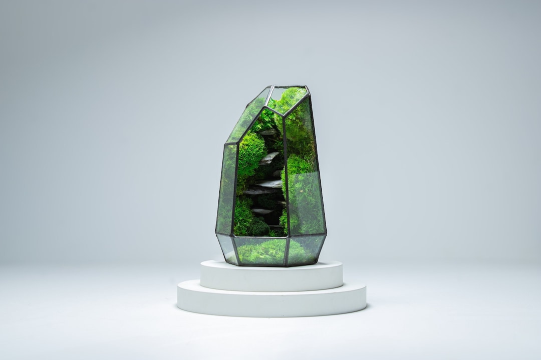 Stone Prism Terrarium – Ready-made Preserved Moss Display | Low ...