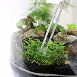 Terrarium Tool Kit | 26cm Stainless Steel Terrarium Tools for Aquarium ...