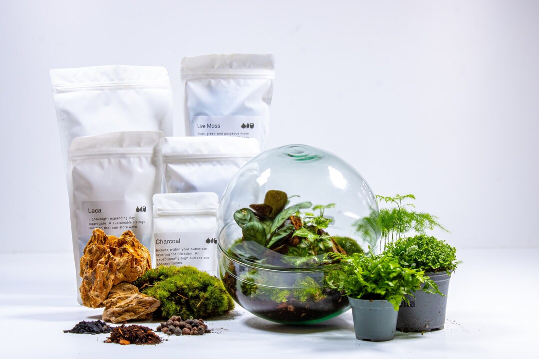 DIY Terrarium Kit - Orb | Living Ecosystem Kit | Glass Container With ...
