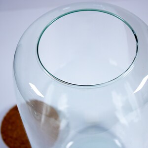 XL DIY Terrarium Kit - Tall | Ecosphere Jarrarium Kit | Make Your Own ...