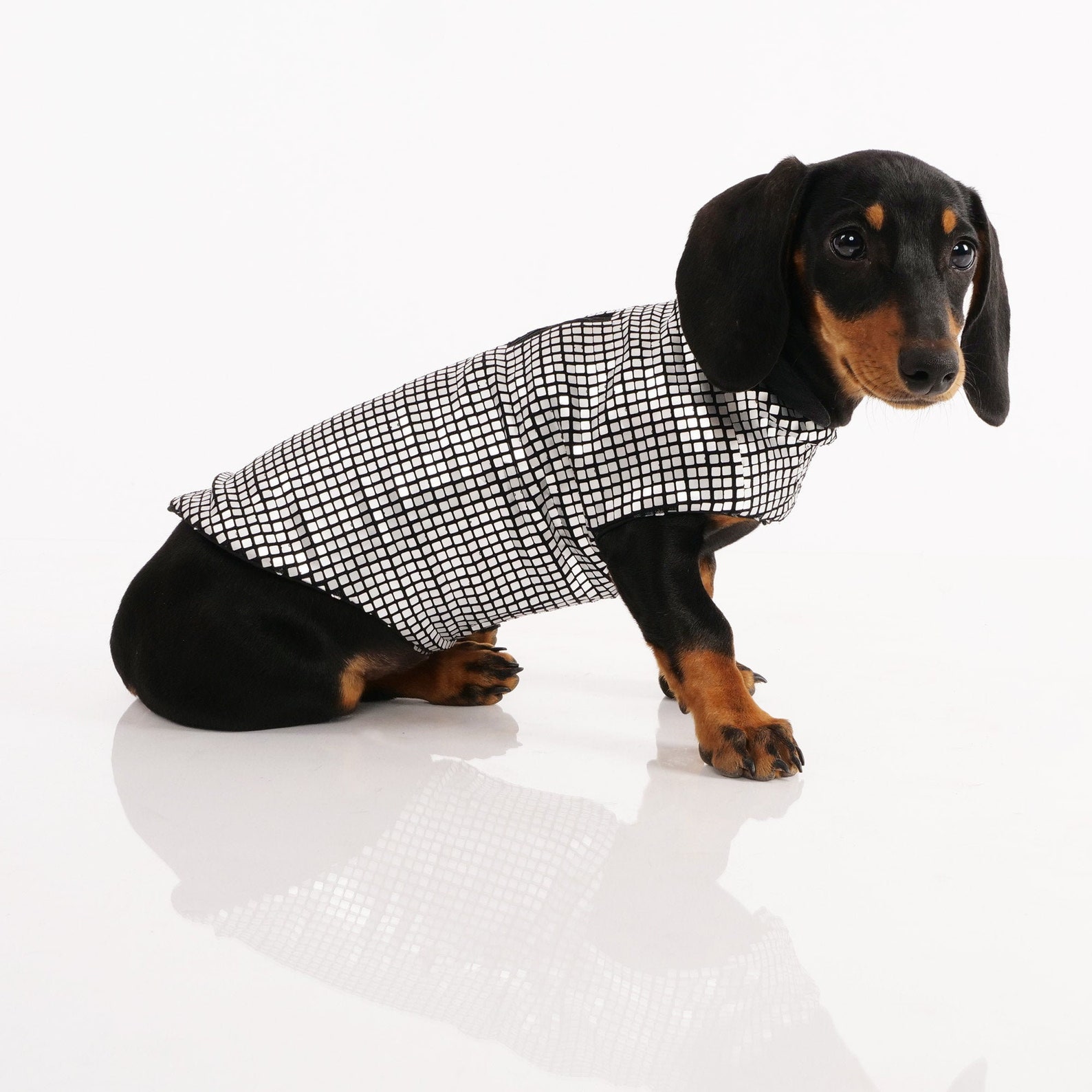 Custom Disco Ball Sequin Dog Coat, Dachshund, Pug, Frenchie, Any Dog ...