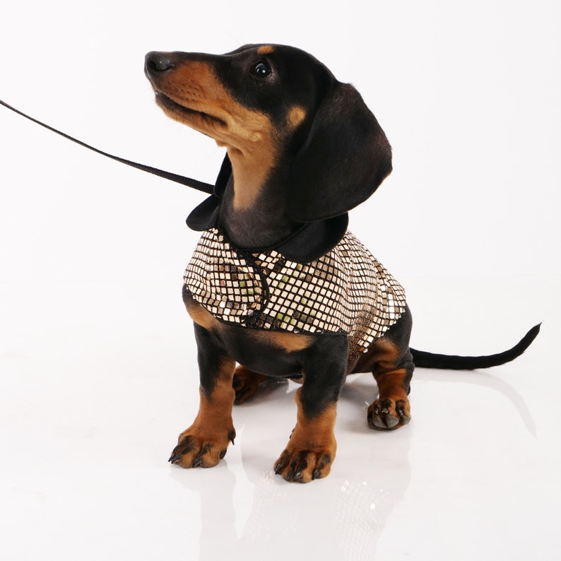 Custom Disco Ball Sequin Dog Coat Dachshund Pug Frenchie - Etsy